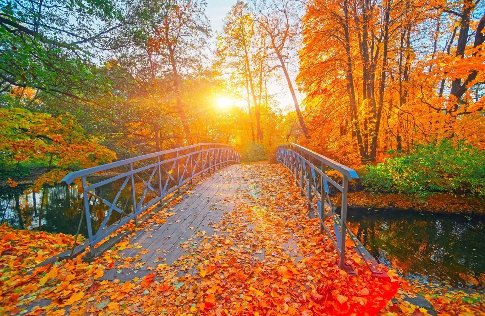 Five Things to Do in November UK